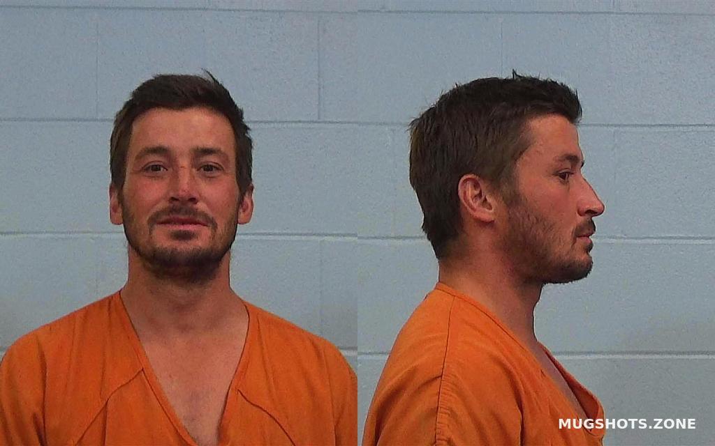 RODGERS DAVID LEAMON 11/24/2024 - Williamson County Mugshots Zone