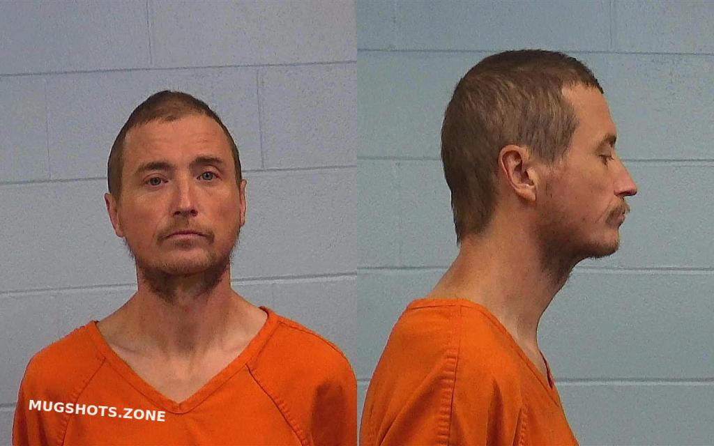 ANDERSON AUSTIN TRAVIS 11/25/2024 - Williamson County Mugshots Zone