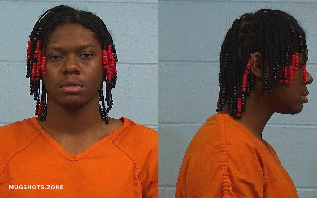 JOHNSON NAZIR HASHIM 12/02/2024 - Williamson County Mugshots Zone