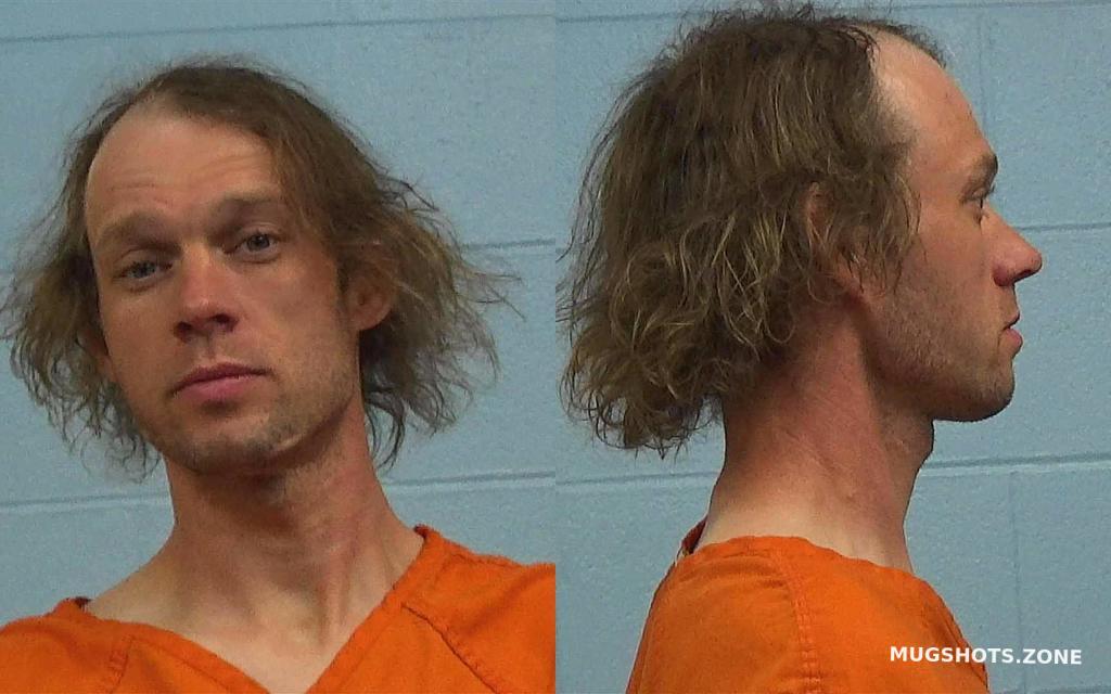 LUTHER AUSTIN MYLES 12/02/2024 - Williamson County Mugshots Zone