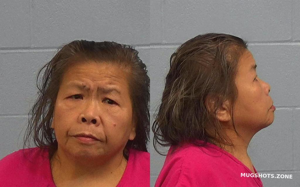 LIN GRACE CHING HWA 12/06/2024 - Williamson County Mugshots Zone