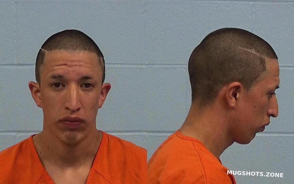 SANTOS MEZA JOSE DAVID 12/09/2024 - Williamson County Mugshots Zone