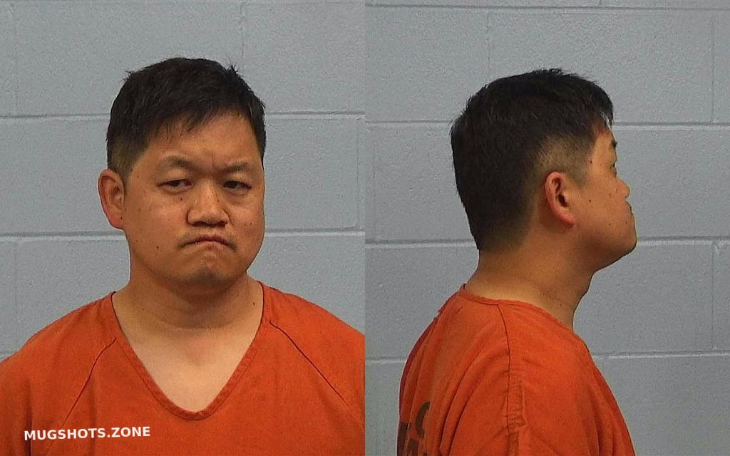 KIM JACKSON 12/10/2024 - Williamson County Mugshots Zone