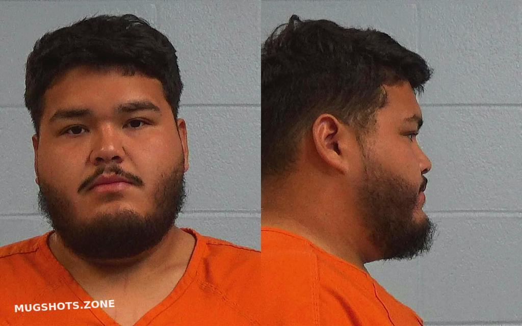 REVELES JOSE ANTONIO JR. 12/13/2024 - Williamson County Mugshots Zone