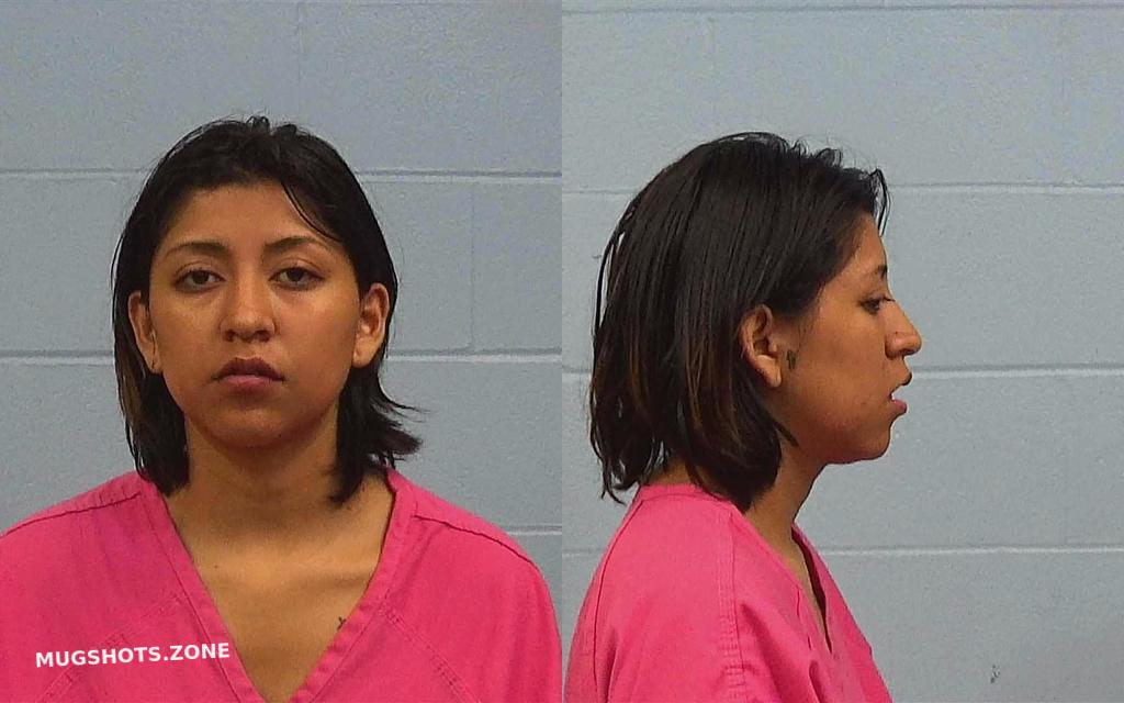 NAVARRETTE EVELYN YVETTE 12/13/2024 - Williamson County Mugshots Zone