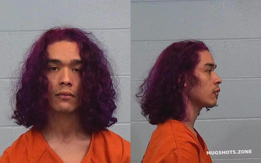 YBARRA CAMERON LANE 12/17/2024 - Williamson County Mugshots Zone