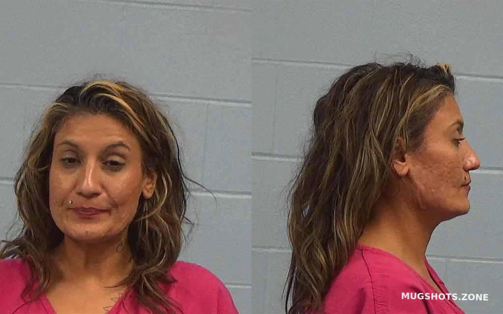 REYES JENNIFER RENEE 12/17/2024 - Williamson County Mugshots Zone