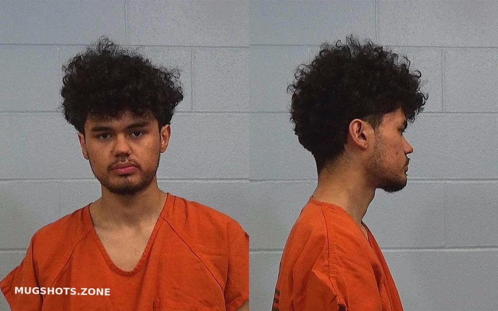 CLEMENTS COLIU LUCAS 12/18/2024 - Williamson County Mugshots Zone