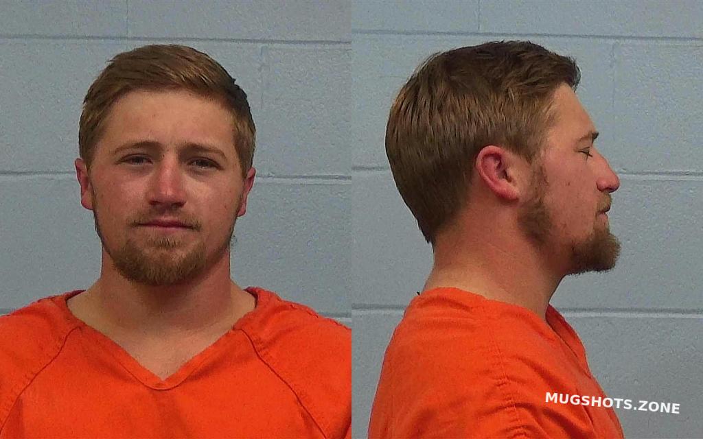 REED RUSSELL ROBERT 12/20/2024 - Williamson County Mugshots Zone