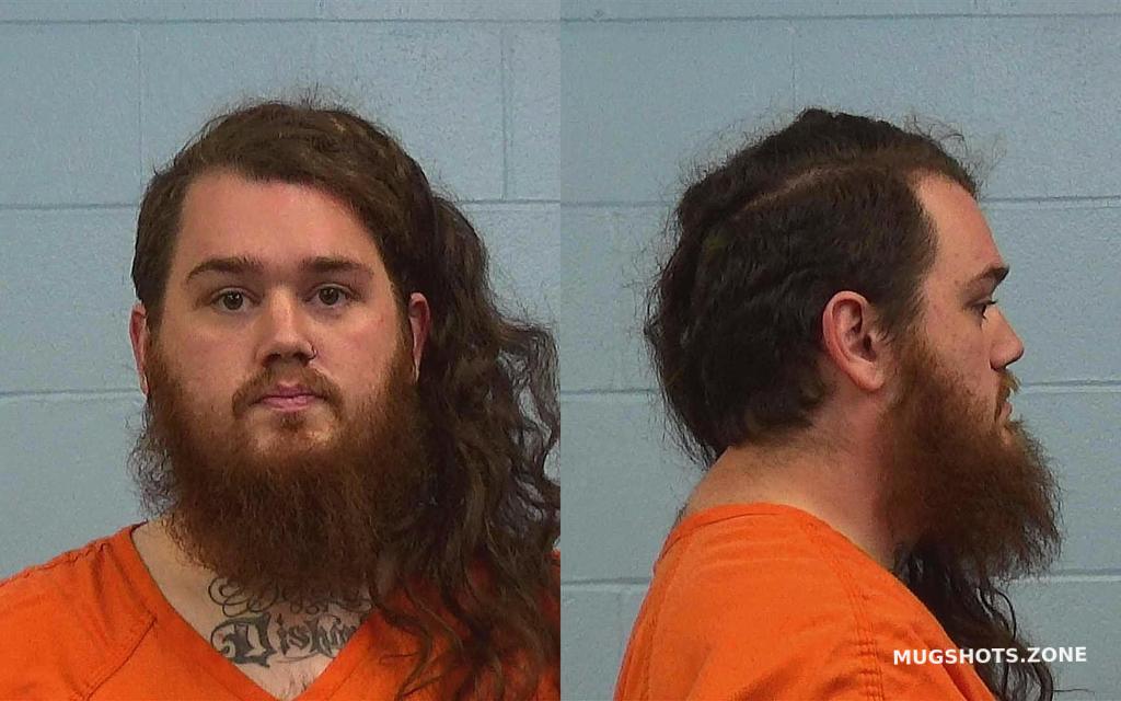 ANDERSON DYLAN BLAKE 12/21/2024 - Williamson County Mugshots Zone