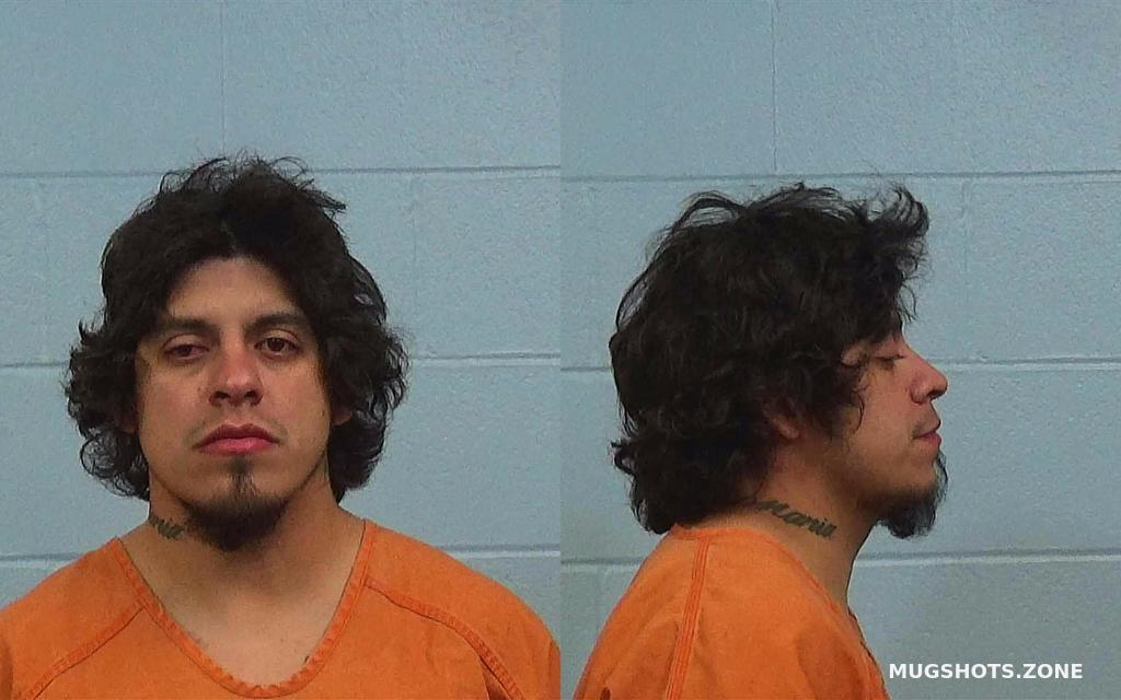 LOGAN DANIEL 12/27/2024 - Williamson County Mugshots Zone