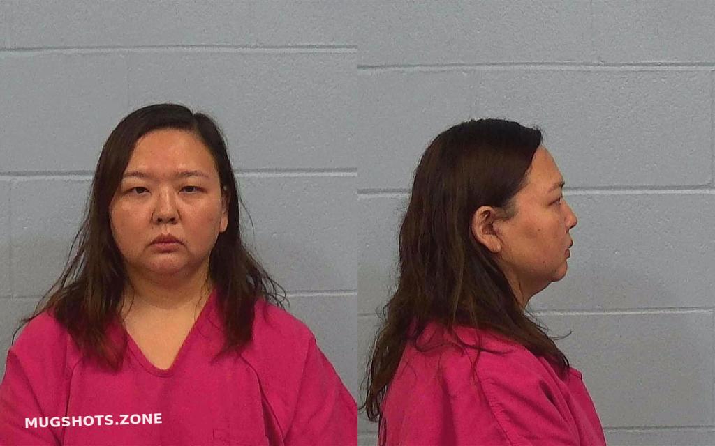 SHIN LYNN SOO 12/27/2024 - Williamson County Mugshots Zone