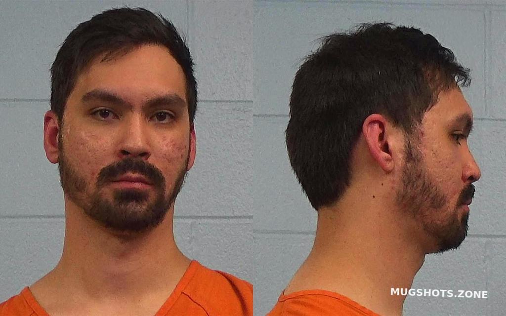 CASTILLO CAMERON M 01/01/2025 - Williamson County Mugshots Zone