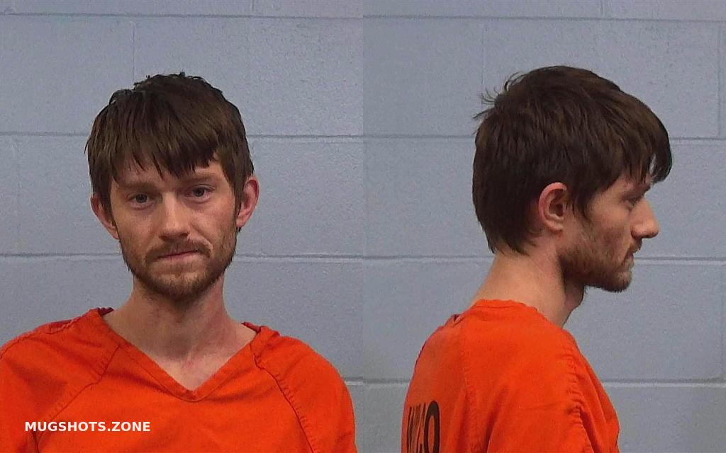 LAYMAN MICHAEL EDWARD 01/02/2025 - Williamson County Mugshots Zone