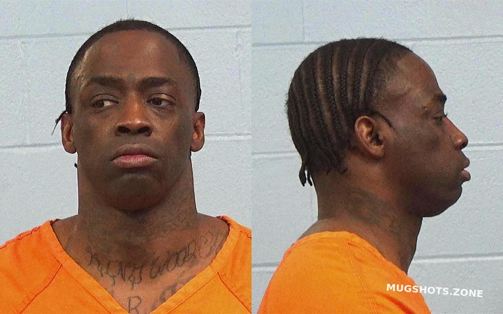 LEE HAYBERT RONALD 01/07/2025 - Williamson County Mugshots Zone