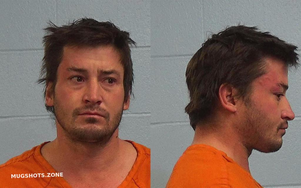 RODGERS DAVID LEAMON 01/09/2025 - Williamson County Mugshots Zone