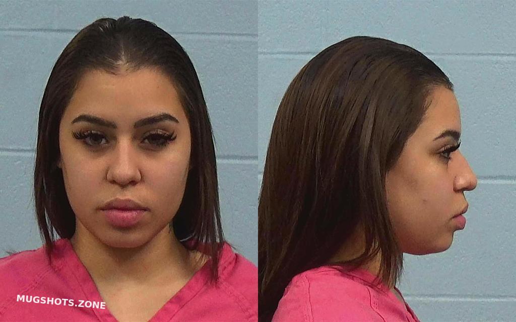 ANDRADE SAUDE DANIELA 01/11/2025 - Williamson County Mugshots Zone