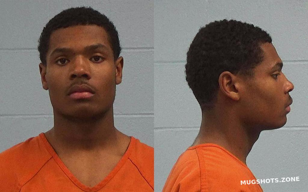 HOLLIS JOHNNY LEE 01/11/2025 - Williamson County Mugshots Zone