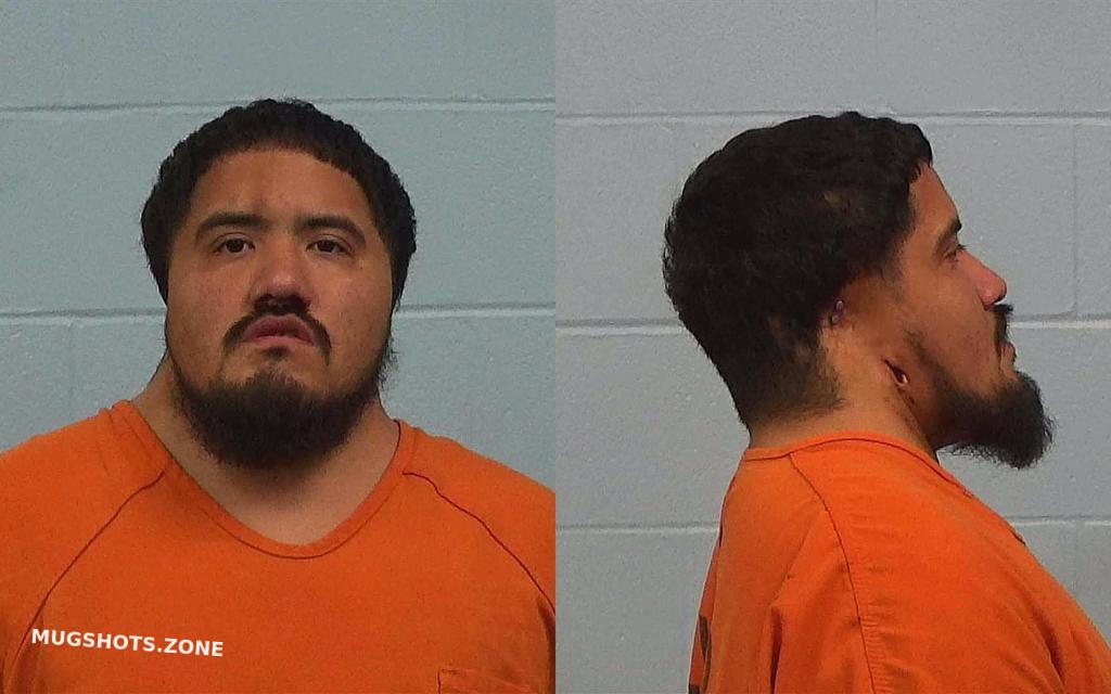 RODRIGUEZ JOEL HENRY 01/13/2025 - Williamson County Mugshots Zone