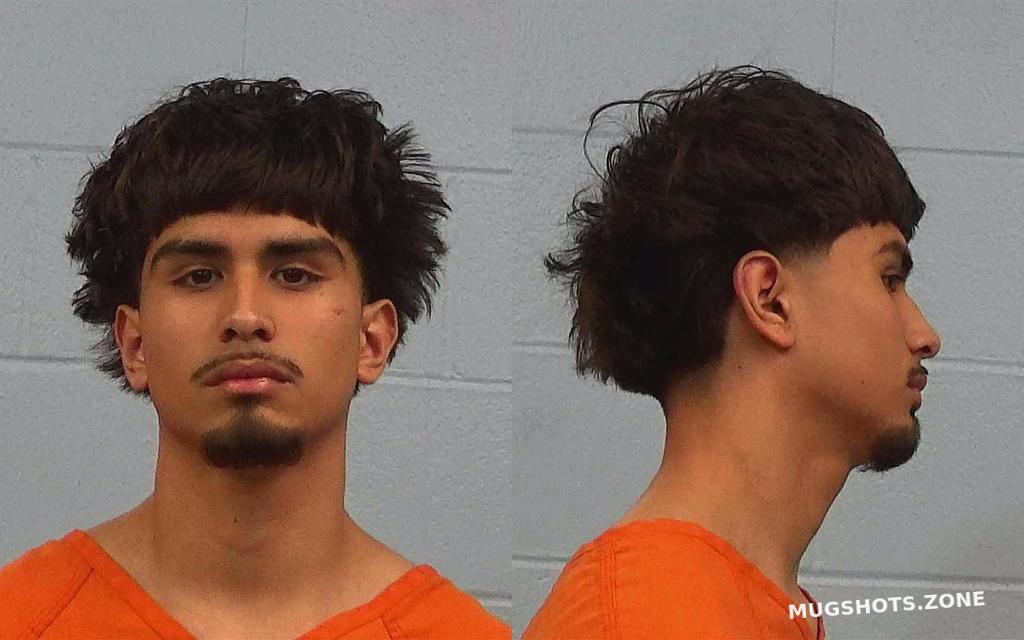 VASQUEZ ZAYNE ALEXANDER 01/14/2025 - Williamson County Mugshots Zone