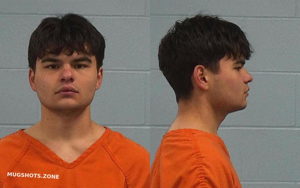 PELT LOGAN JOSEPH 01/19/2025 - Williamson County Mugshots Zone