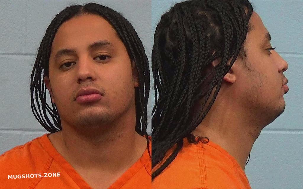 WILLIAMS JULIUS JAMIE 01/20/2025 - Williamson County Mugshots Zone