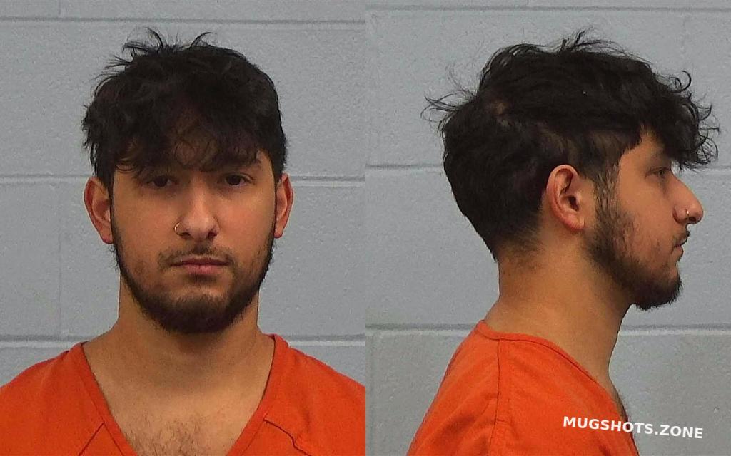 GONZALEZ ERIC ALEXANDER 01/22/2025 - Williamson County Mugshots Zone
