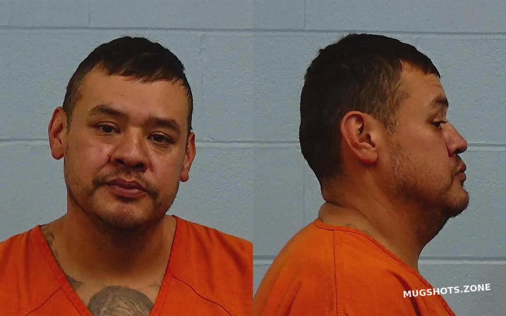 RENDON LOUIS ERIC 01/23/2025 - Williamson County Mugshots Zone