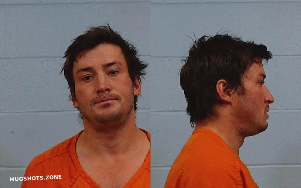 ROGERS DAVID LEAMON 01/25/2025 - Williamson County Mugshots Zone