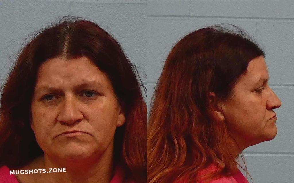 MONROE ALISA NICOLE 01/28/2025 - Williamson County Mugshots Zone