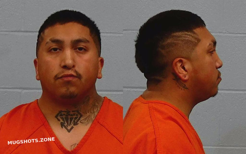 LANDEROS ESTEBAN 01/29/2025 - Williamson County Mugshots Zone