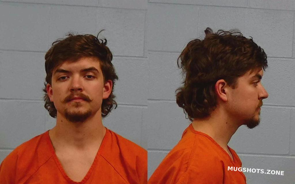 REYNOLDS CADE ALEXANDER 02/01/2025 - Williamson County Mugshots Zone