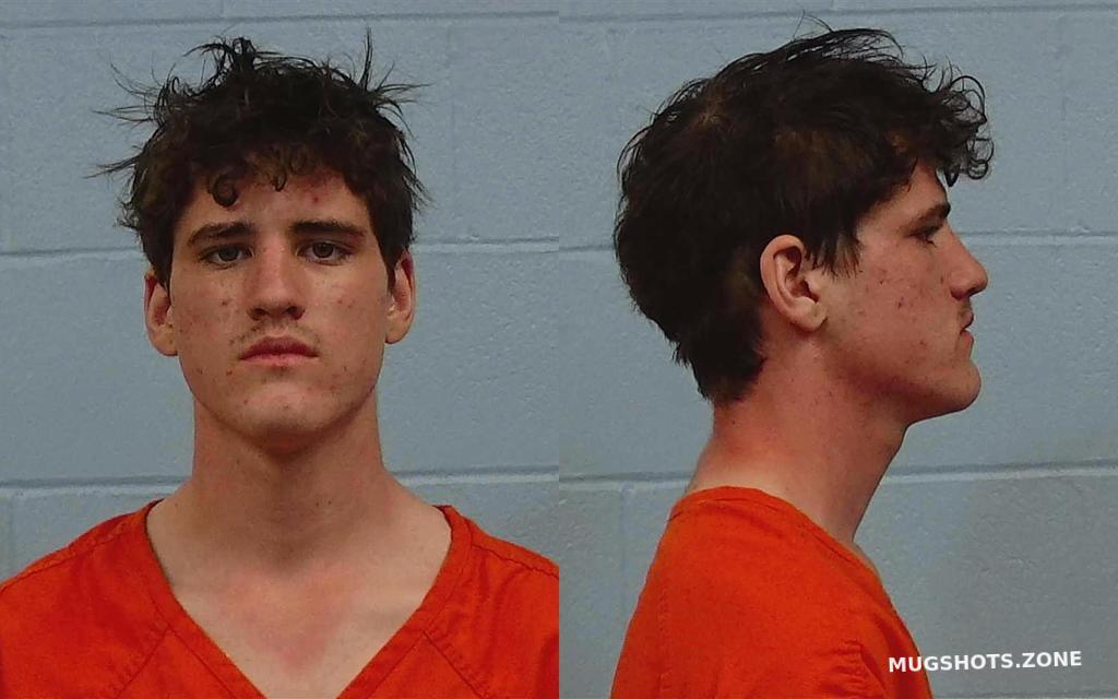 MATNEY CALEB JAMES 02/02/2025 - Williamson County Mugshots Zone