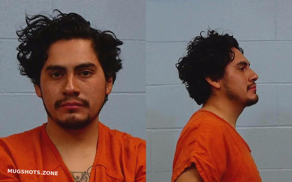 REED BRANDON STERLING 02/02/2025 - Williamson County Mugshots Zone