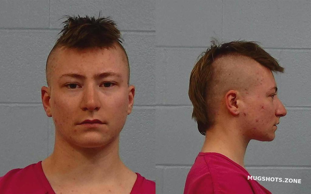 RAINS NANCY COLLEEN 02/02/2025 - Williamson County Mugshots Zone