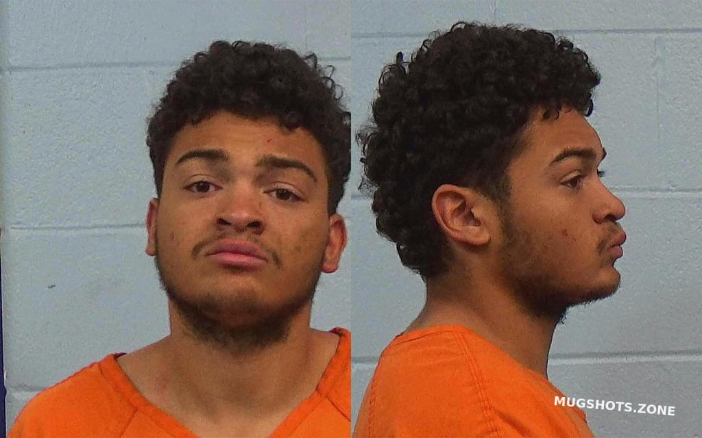 POWELL SKYLAR DAVID RIGGS 02/08/2025 - Williamson County Mugshots Zone