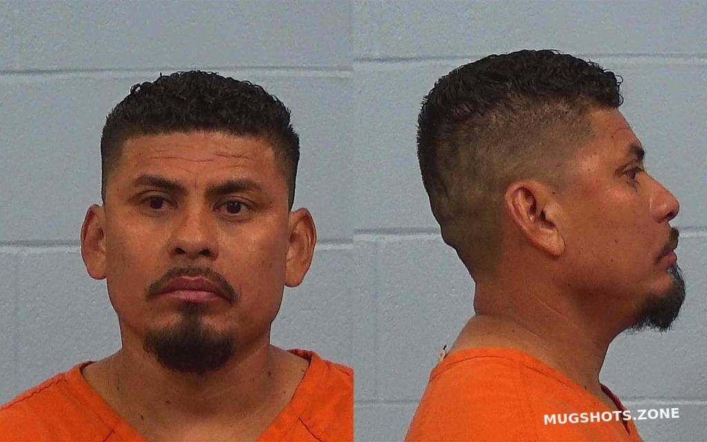RENDON PEREZ LUIS 02/09/2025 - Williamson County Mugshots Zone