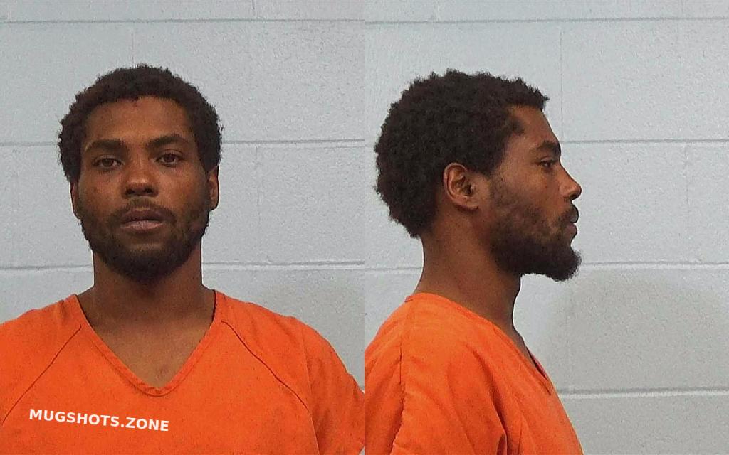 WILSON JORDAN ALEXANDER 02/10/2025 - Williamson County Mugshots Zone