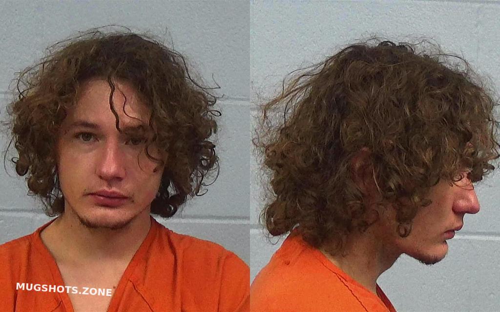 KING BAILEY ALAN 02/11/2025 - Williamson County Mugshots Zone