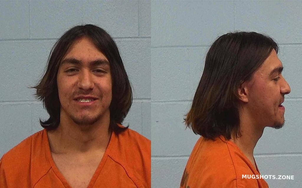 STEVENS ADEN LUKE 02/16/2025 - Williamson County Mugshots Zone