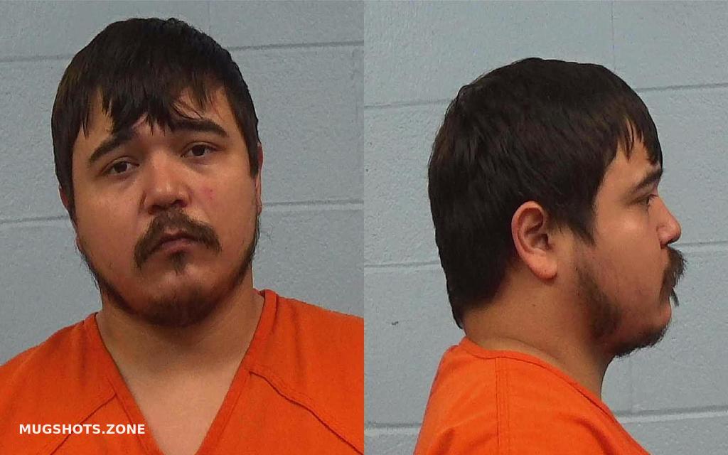 BEYER DERICK WAYNE 02/18/2025 - Williamson County Mugshots Zone