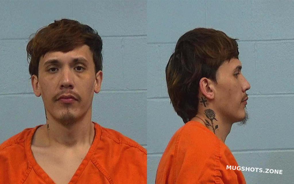 ORTIZ STEVEN RAY 02/19/2025 - Williamson County Mugshots Zone