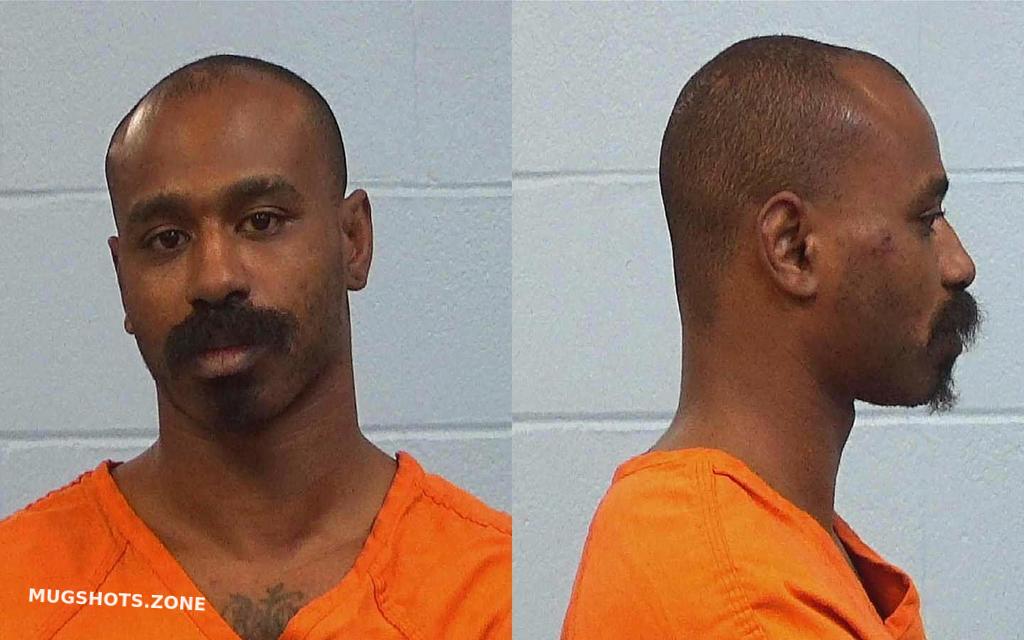 LEE RICARDO JAMES LEON 02/19/2025 - Williamson County Mugshots Zone