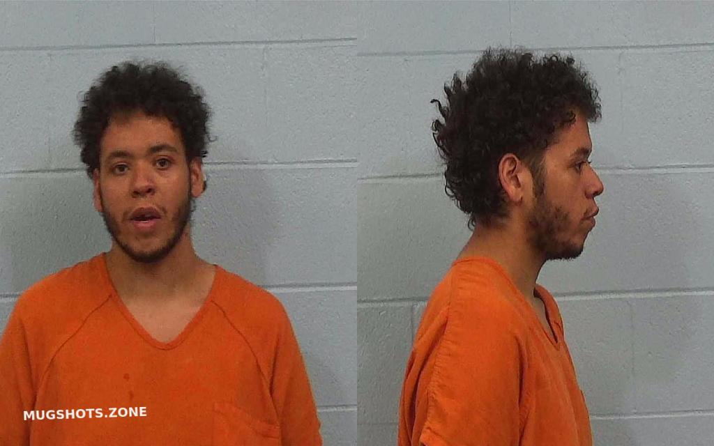 LOGAN TERRY 02/19/2025 - Williamson County Mugshots Zone