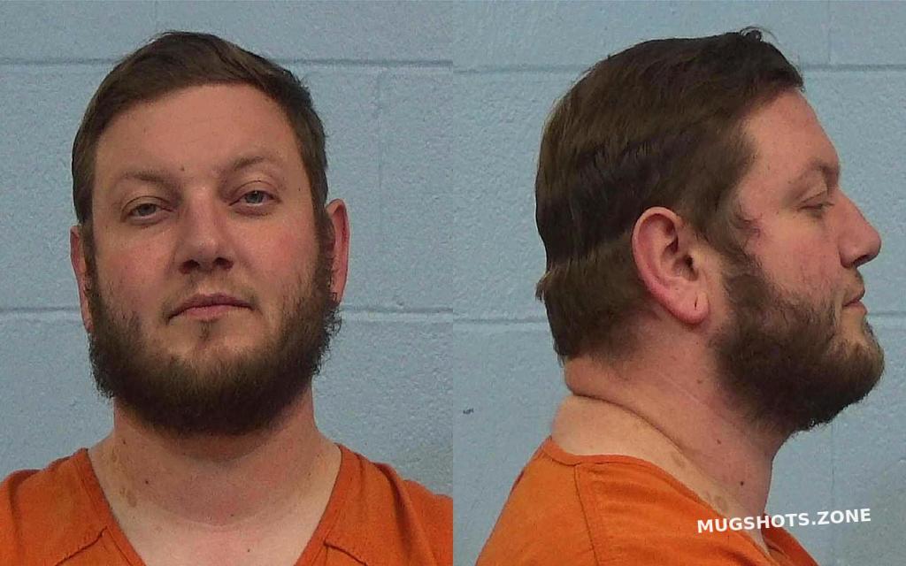 YOUNG ALEXANDER DANIEL 02/19/2025 - Williamson County Mugshots Zone