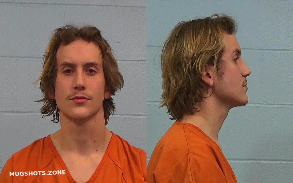 RIQUELMY MATTHEW DRAKE 02/20/2025 - Williamson County Mugshots Zone
