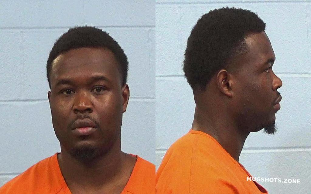 NOEL MYRVENS STEPHENSON 02/20/2025 - Williamson County Mugshots Zone