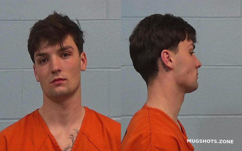 COATS HAYDEN NICHOLAS 02/23/2025 - Williamson County Mugshots Zone