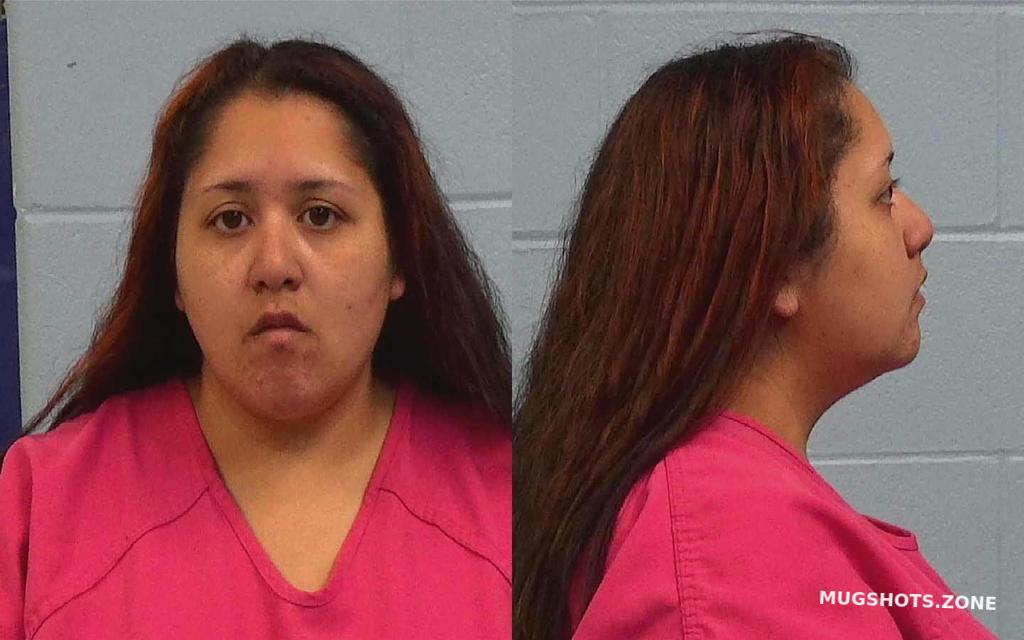 HERNANDEZ DANIELA 02/23/2025 - Williamson County Mugshots Zone