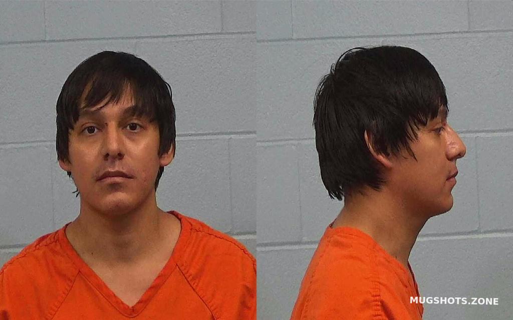 RAMIREZ GABRIEL 02/25/2025 - Williamson County Mugshots Zone